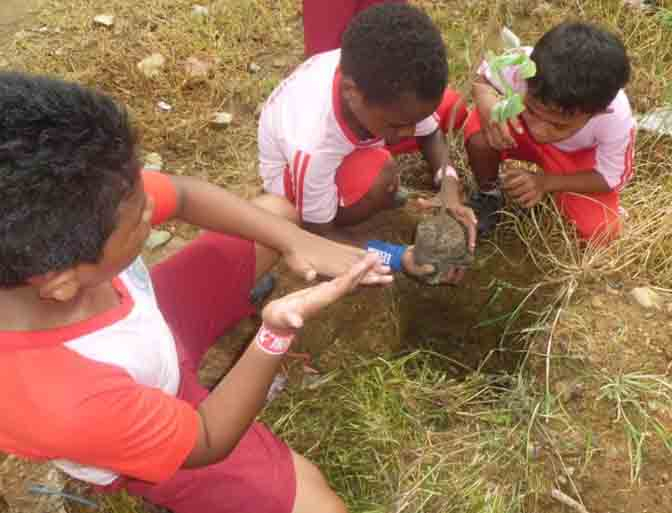 SD Sion Padang Bulan Terapkan Pendidikan Lingkungan Hidup | KBR.ID ...