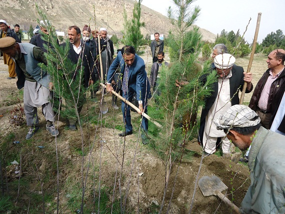 Afghanistan celebrates New Year with nationwide tree-planting drive ...