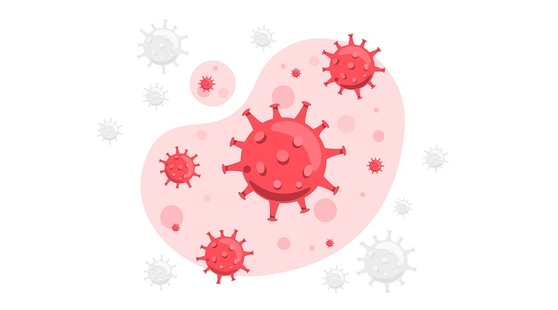 Flu Babi Afrika di NTT, Epidemiolog: Tidak Menular ke Manusia | Berita ...